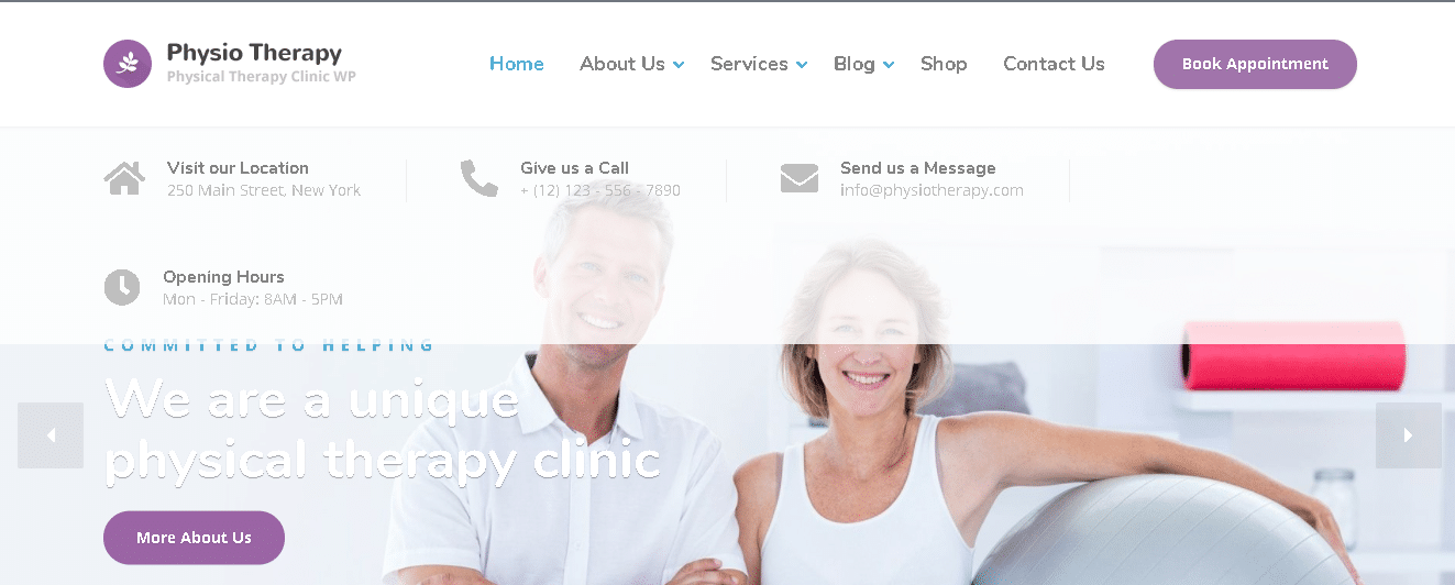 Best Chiropractor WordPress Themes For 2022 - reigntheme.com